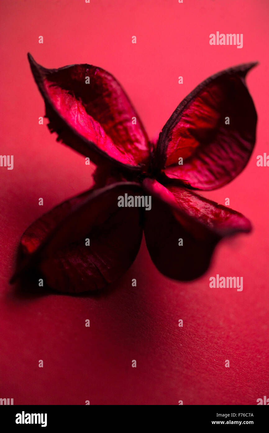 Decorative pod hi-res stock photography and images - Alamy