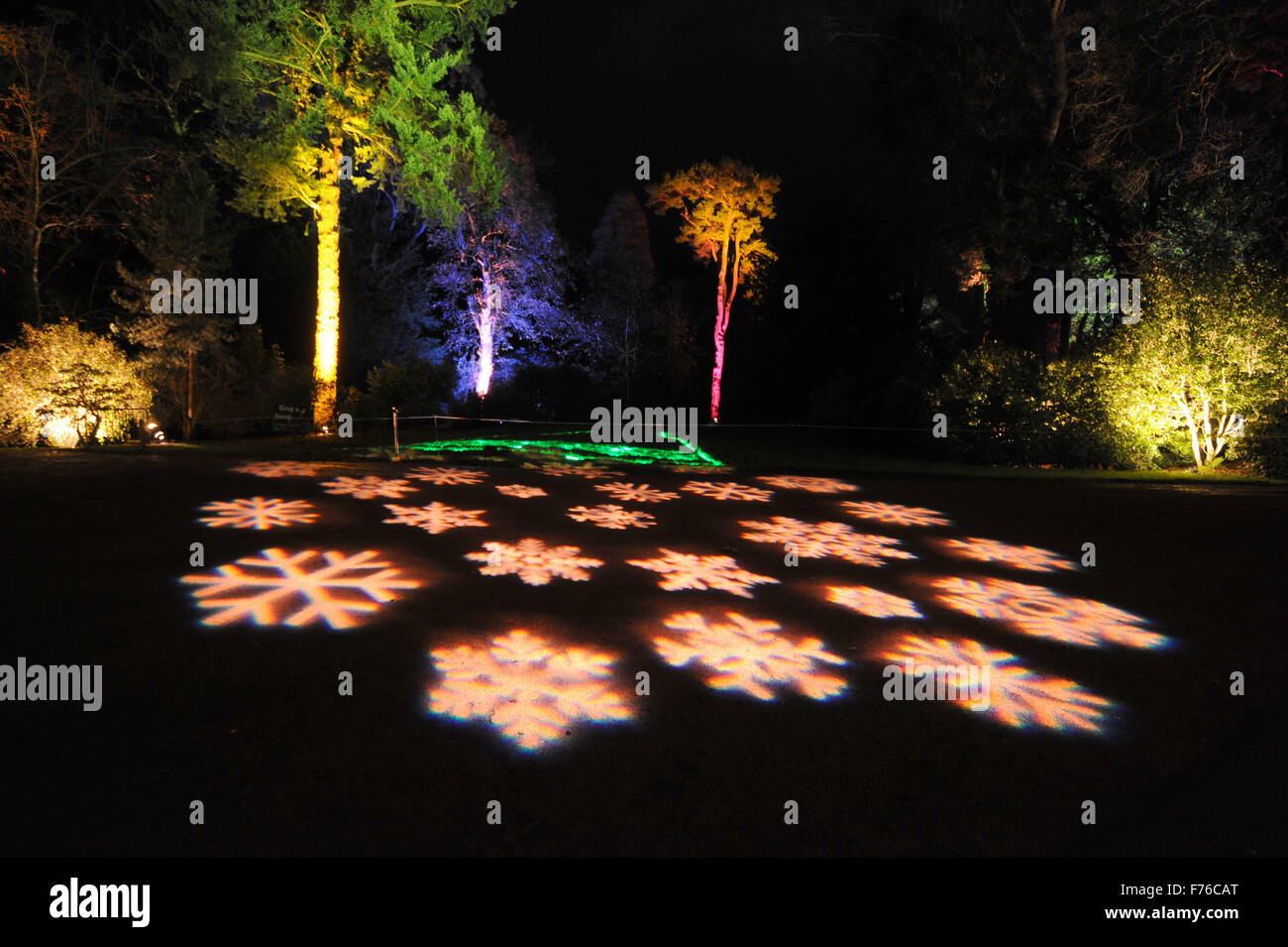 Westonbirt, Gloucestershire, UK. 25th November 2015. Westonbirt, The ...