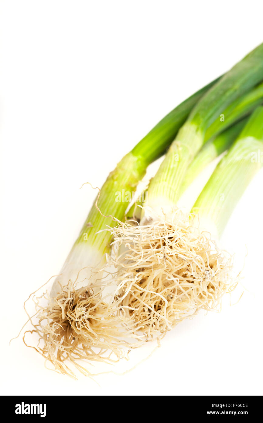 fresh spring onion on a white background Stock Photo - Alamy