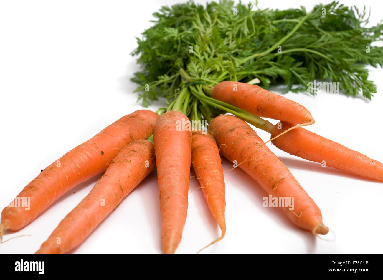 fresh carrots from the garden Stock Photo - Alamy