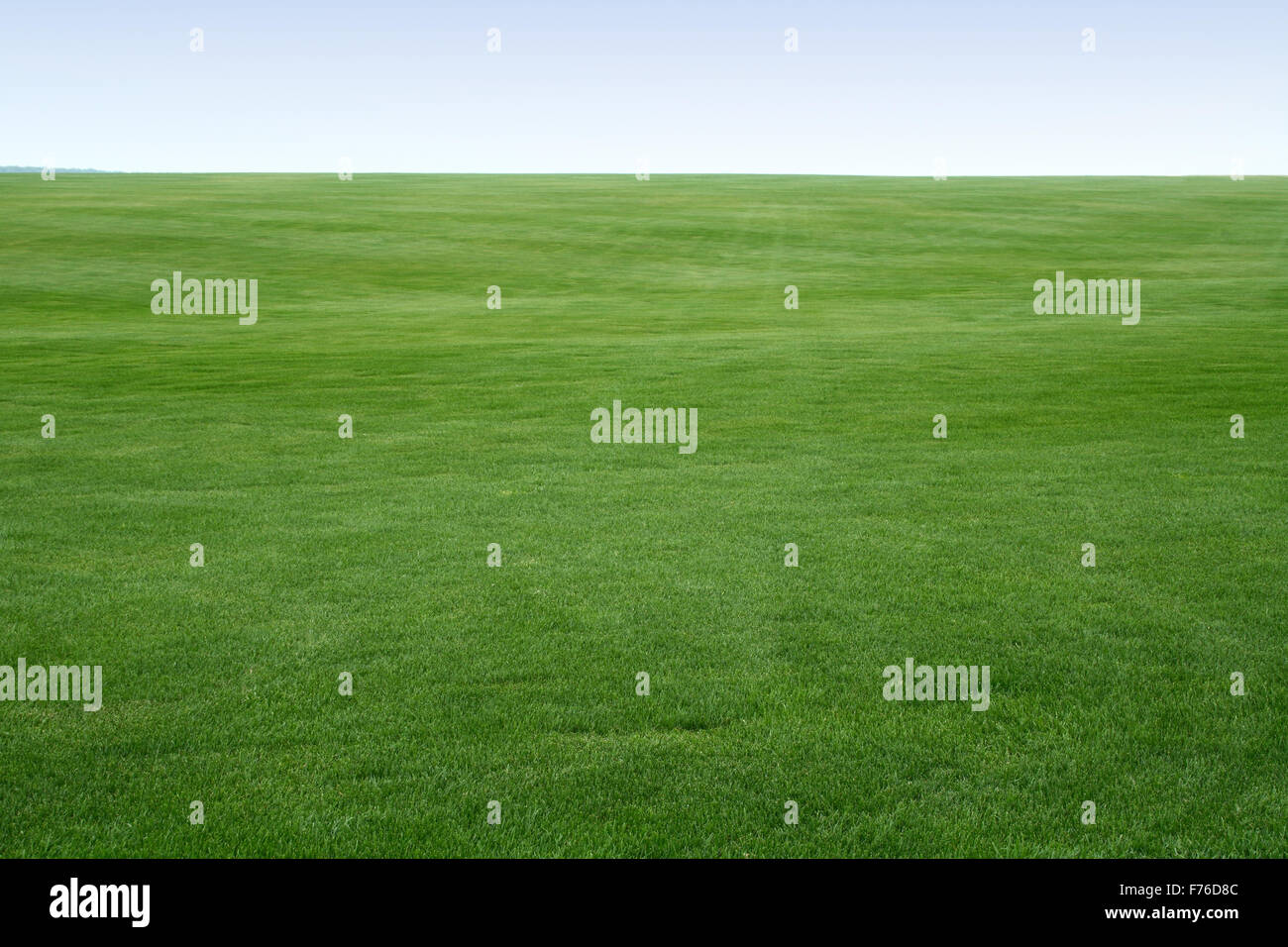 Grassplot hi-res stock photography and images - Alamy