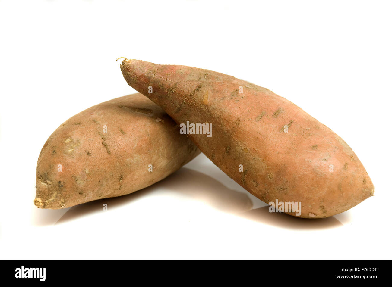 Sweet potato crop agriculture vertical hi-res stock photography and ...