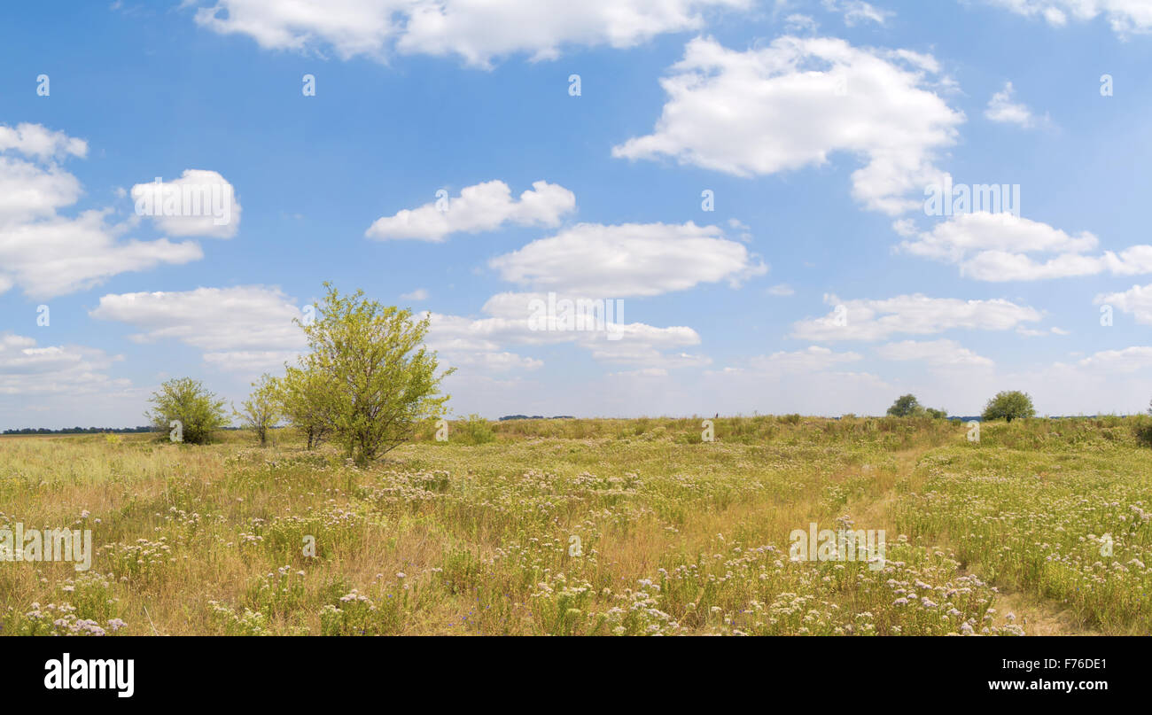 Steppe landscape with tree Stock Photo - Alamy