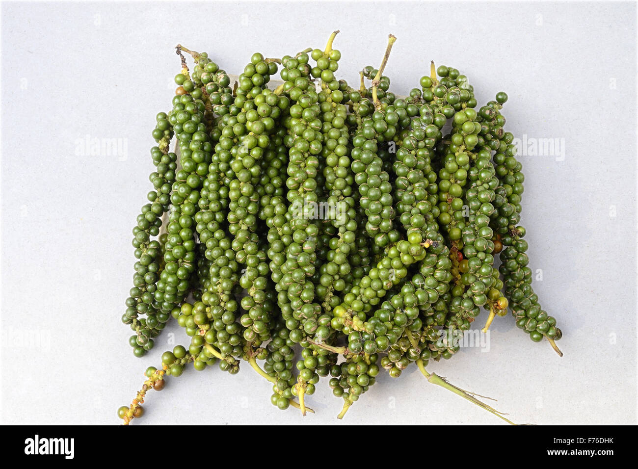 Black pepper, Piper nigrum, peppercorn, trivandrum, kerala, india, asia ...