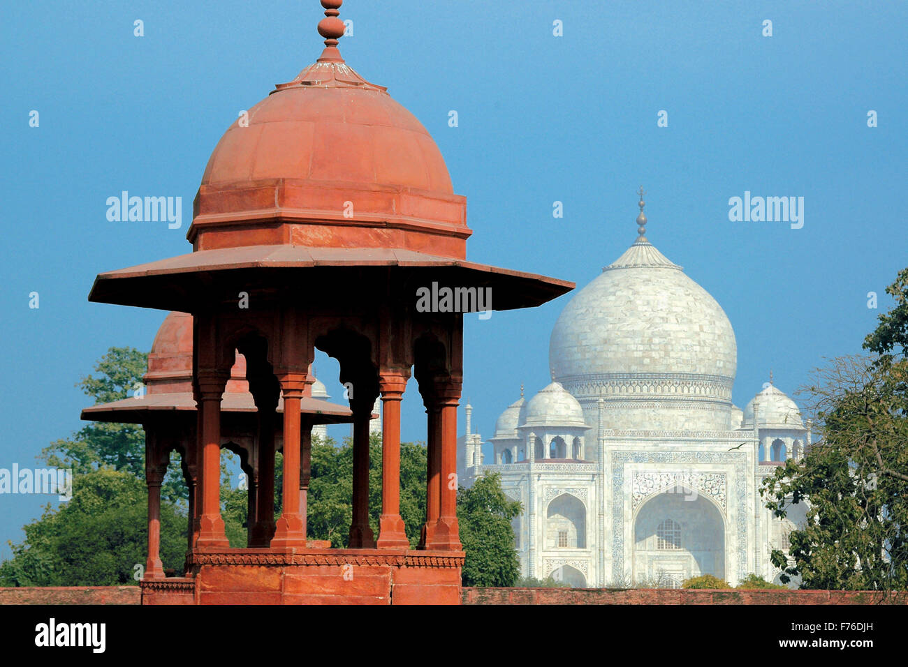 Chhatri of taj mahal hi-res stock photography and images - Alamy