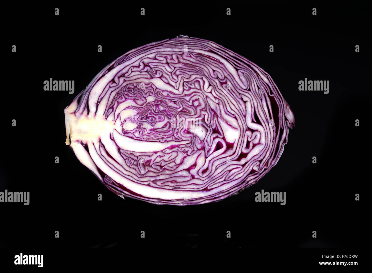 Red cabbage pattern hi-res stock photography and images - Alamy
