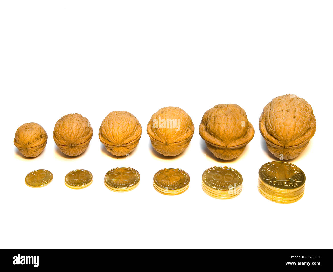 Money nut Cut Out Stock Images & Pictures - Alamy