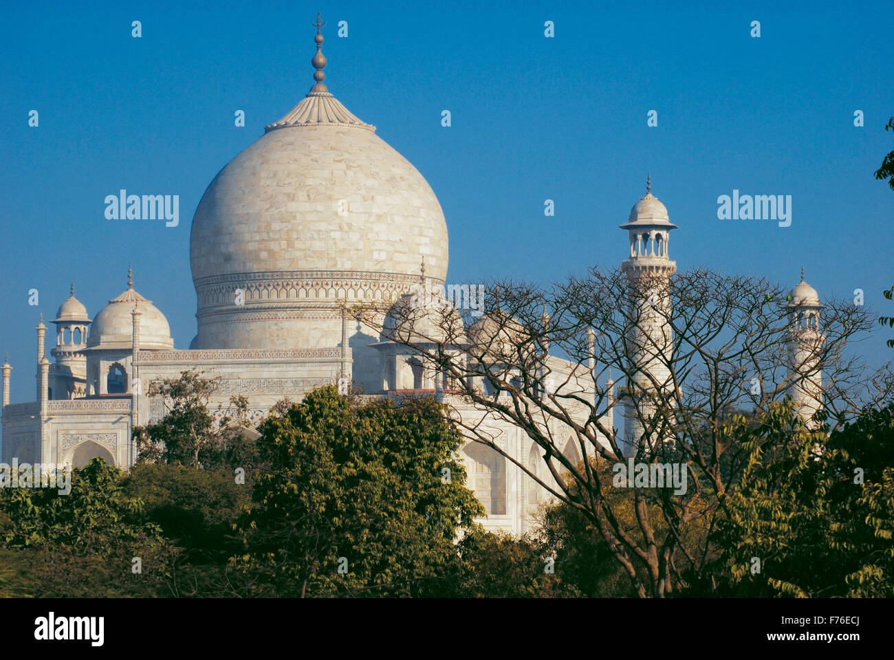 Taj Mahal, white marble mausoleum, wonder of the world, UNESCO World ...