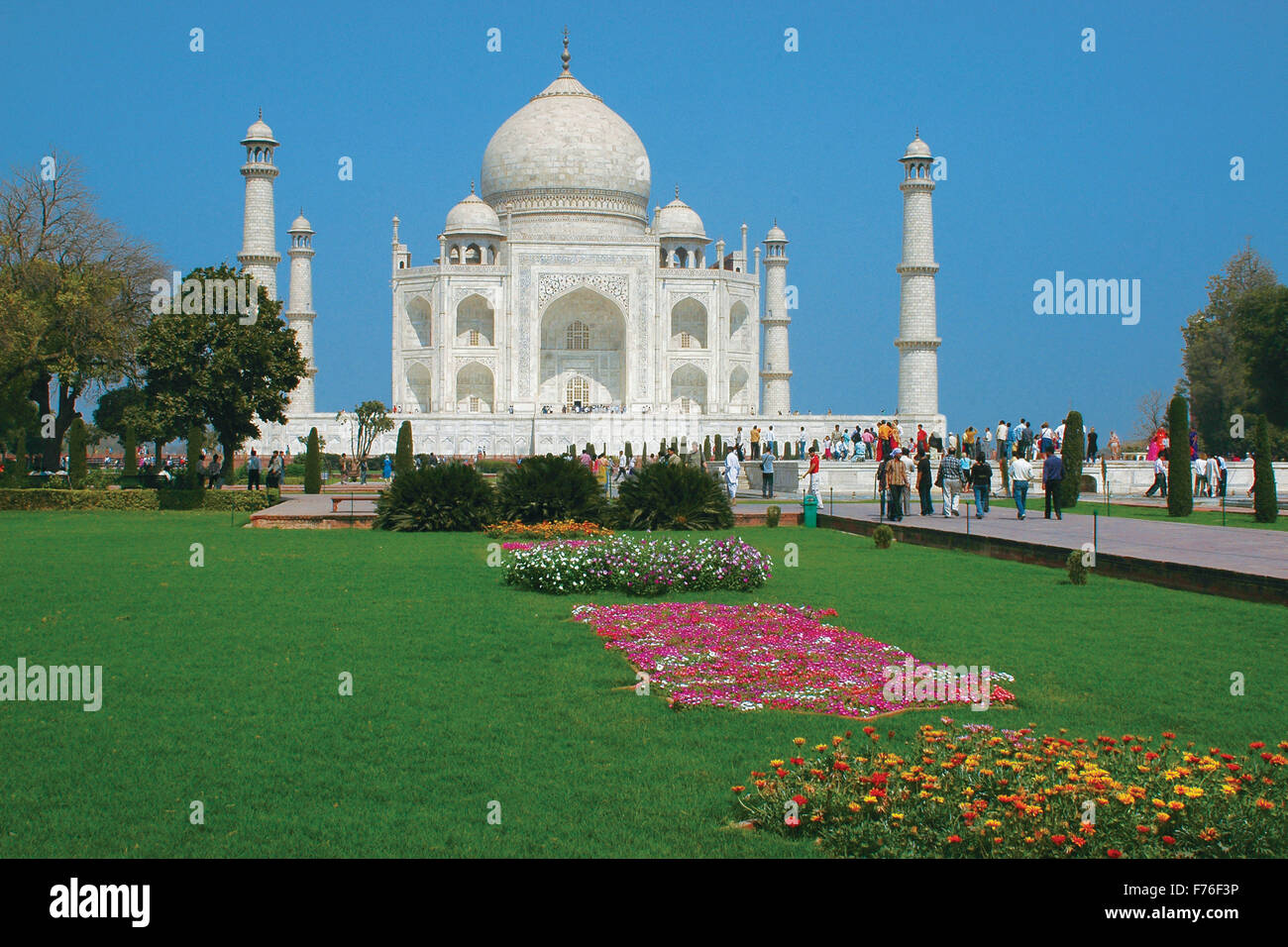 Taj mahal garden flower hi-res stock photography and images - Alamy