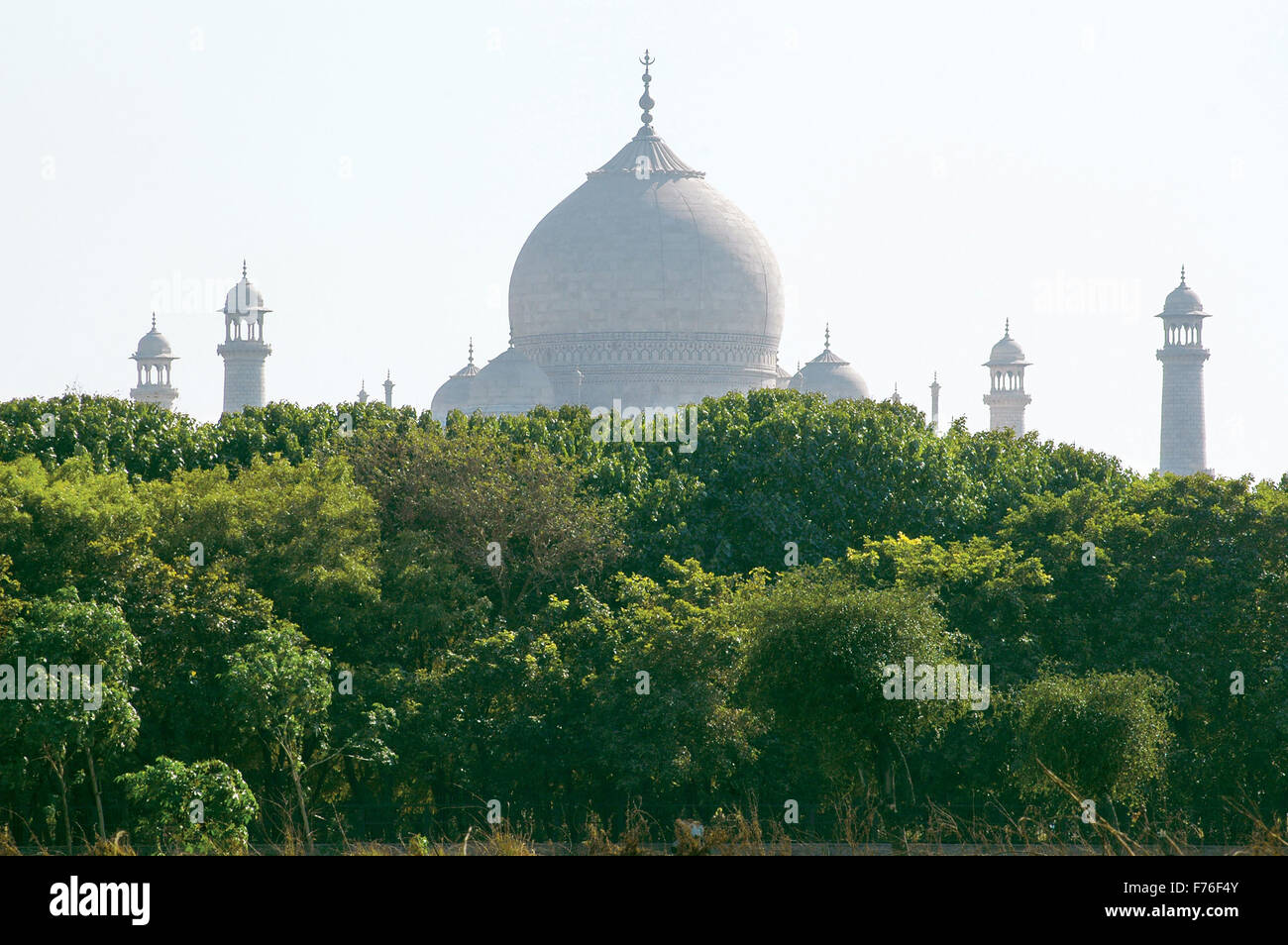 Jungle mahal hi-res stock photography and images - Alamy