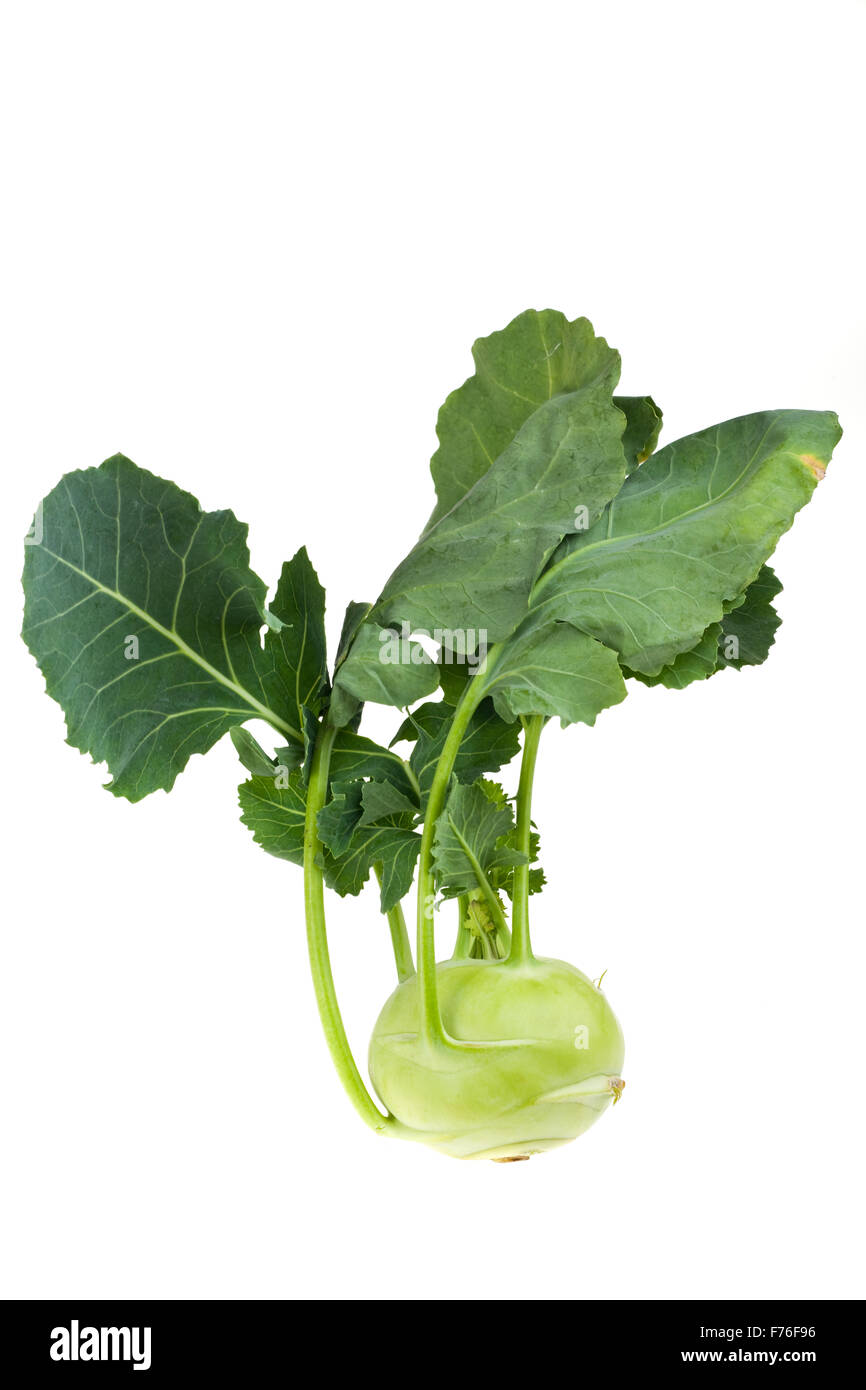 single cabbage turnip isolated on white background Stock Photo - Alamy