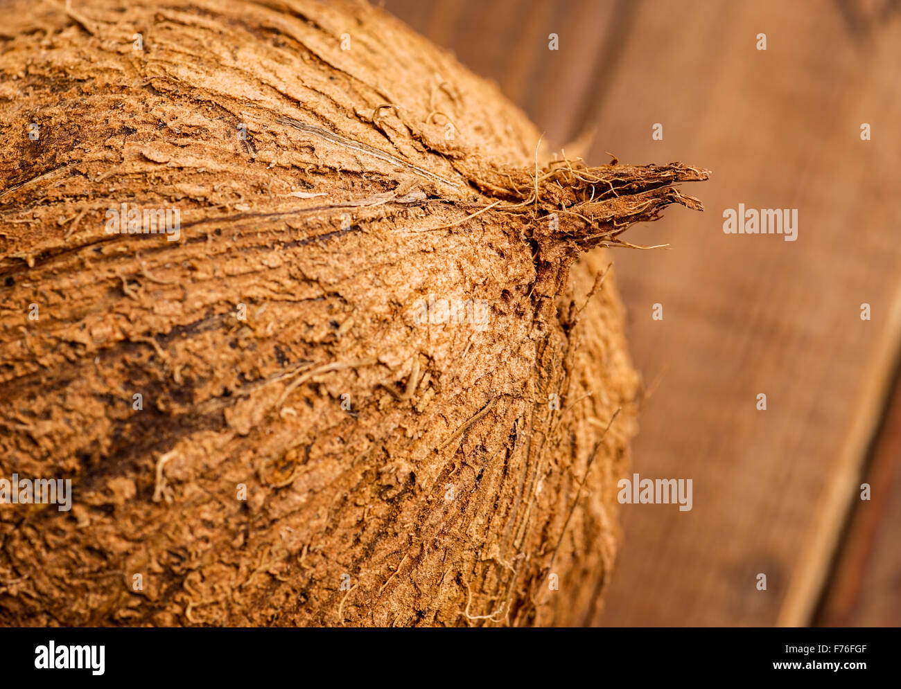 Lying coconut palm tree hi-res stock photography and images - Alamy