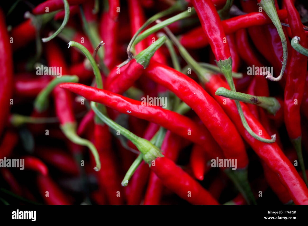 Pile of red chilli peppers Stock Photo - Alamy