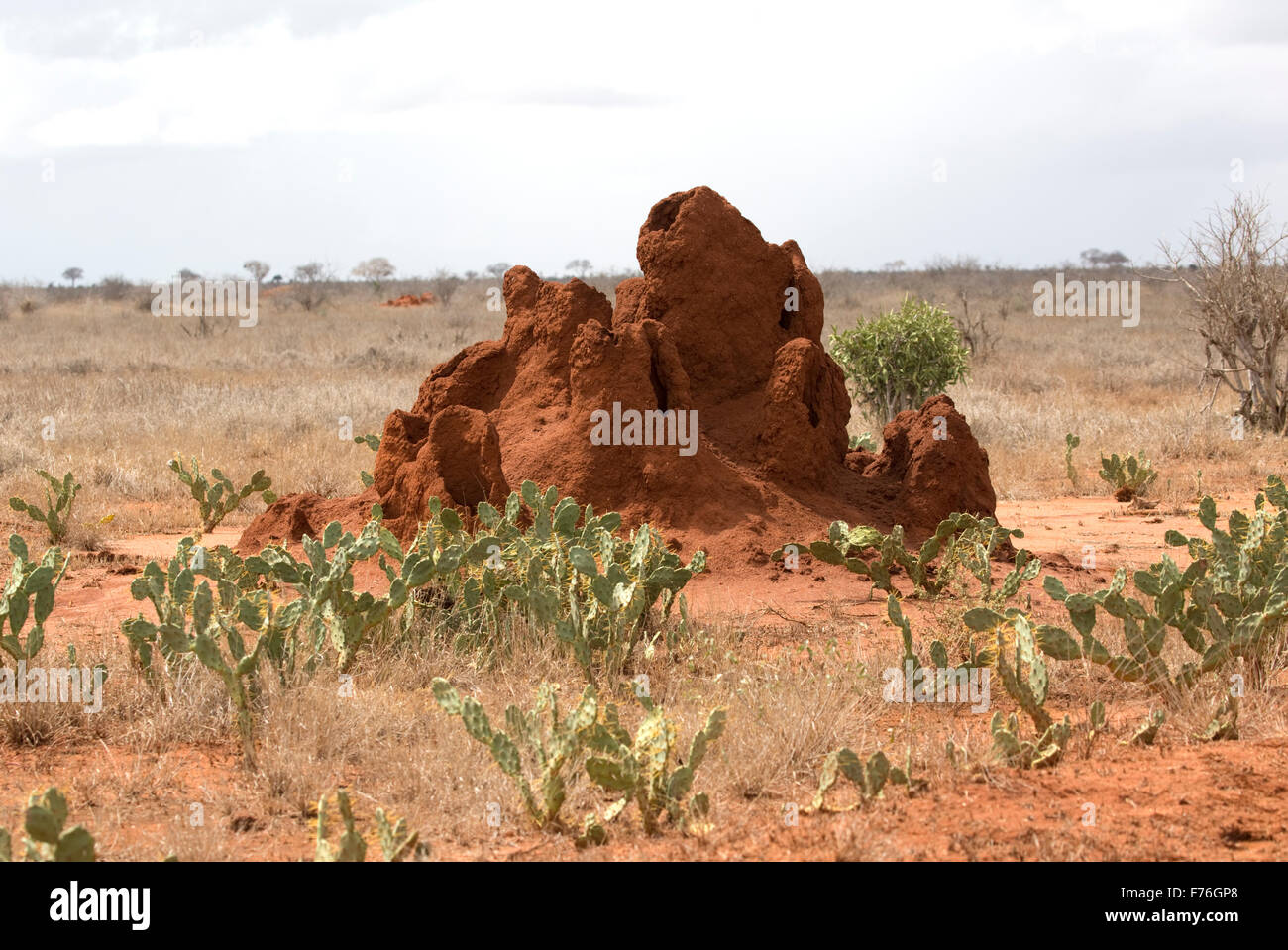 Invader hi-res stock photography and images - Alamy
