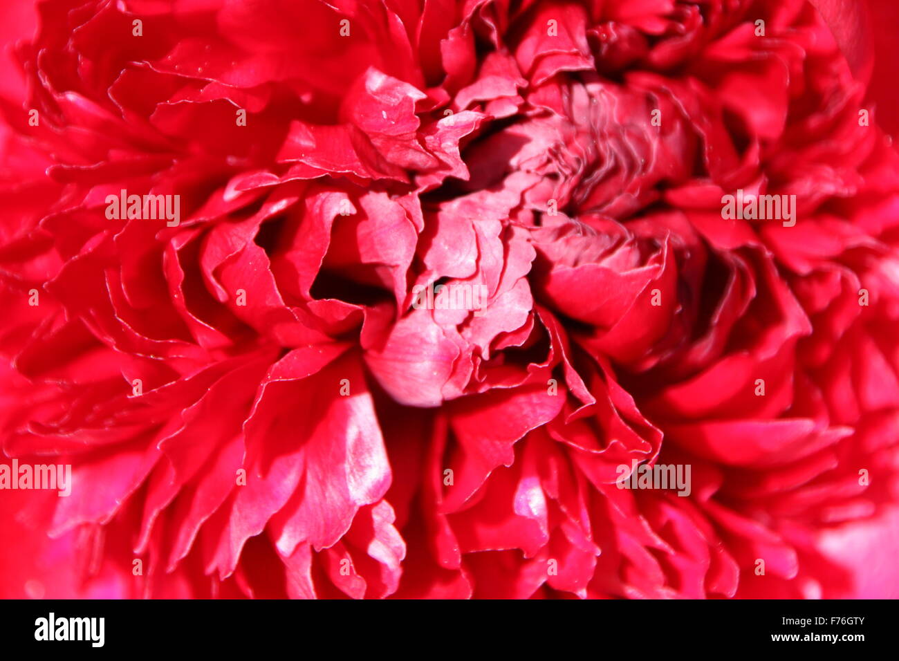 Peon hi-res stock photography and images - Alamy