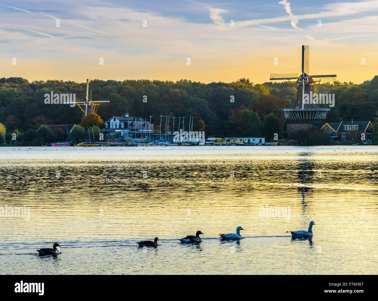 Kralingenbos hi-res stock photography and images - Alamy