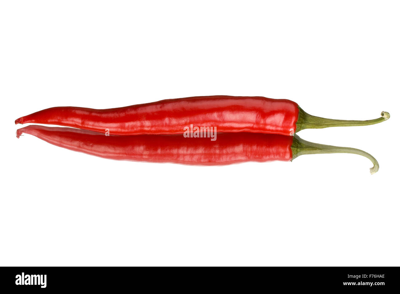 single red pepper on a mirror isolated on a white background Stock ...