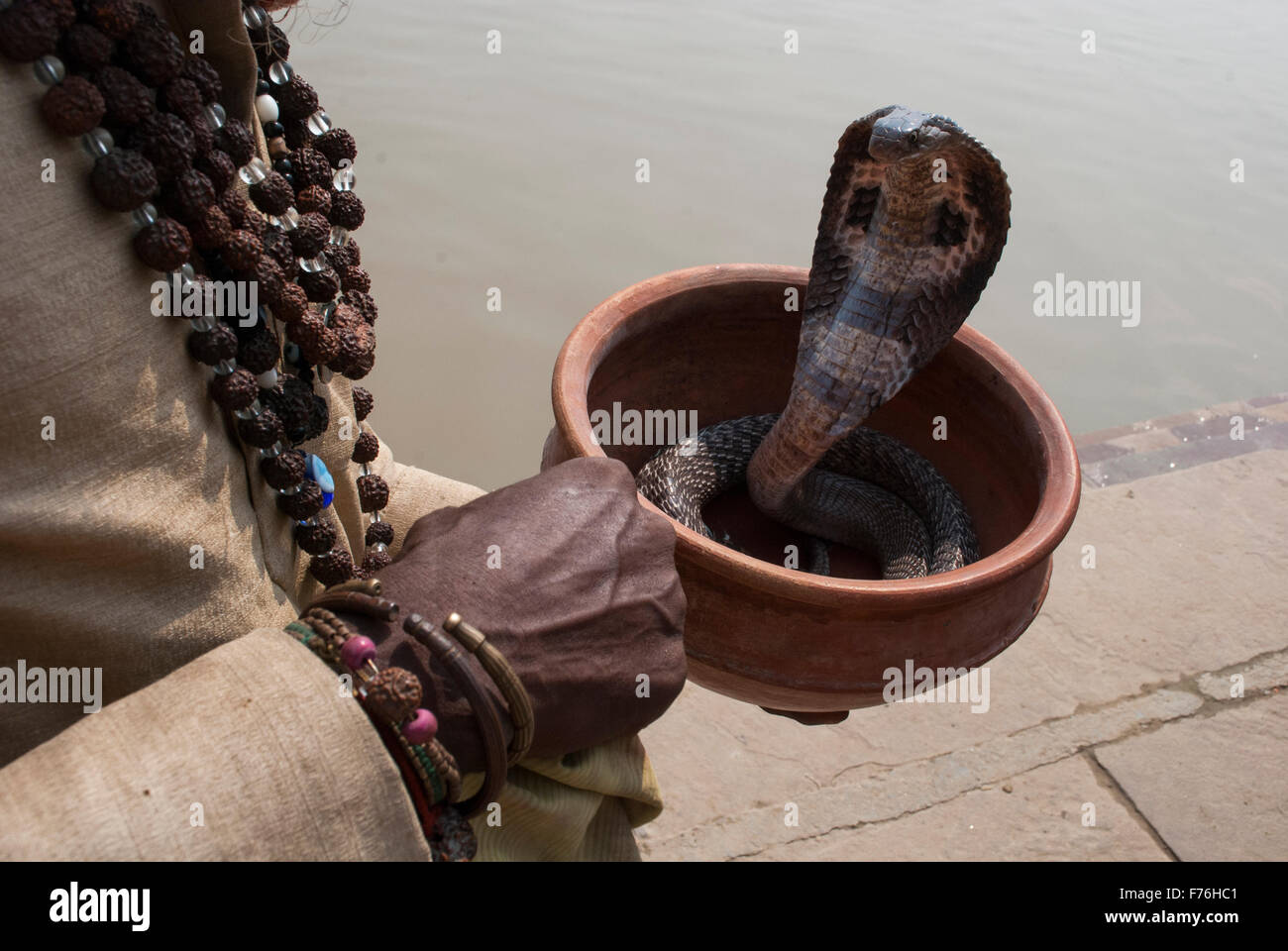 Snake charmer, ganga river ganges, kashi, banaras, benaras, varanasi ...