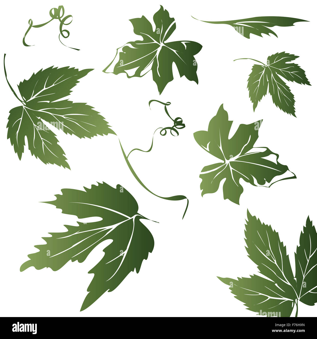 Grape leaf design hi-res stock photography and images - Alamy