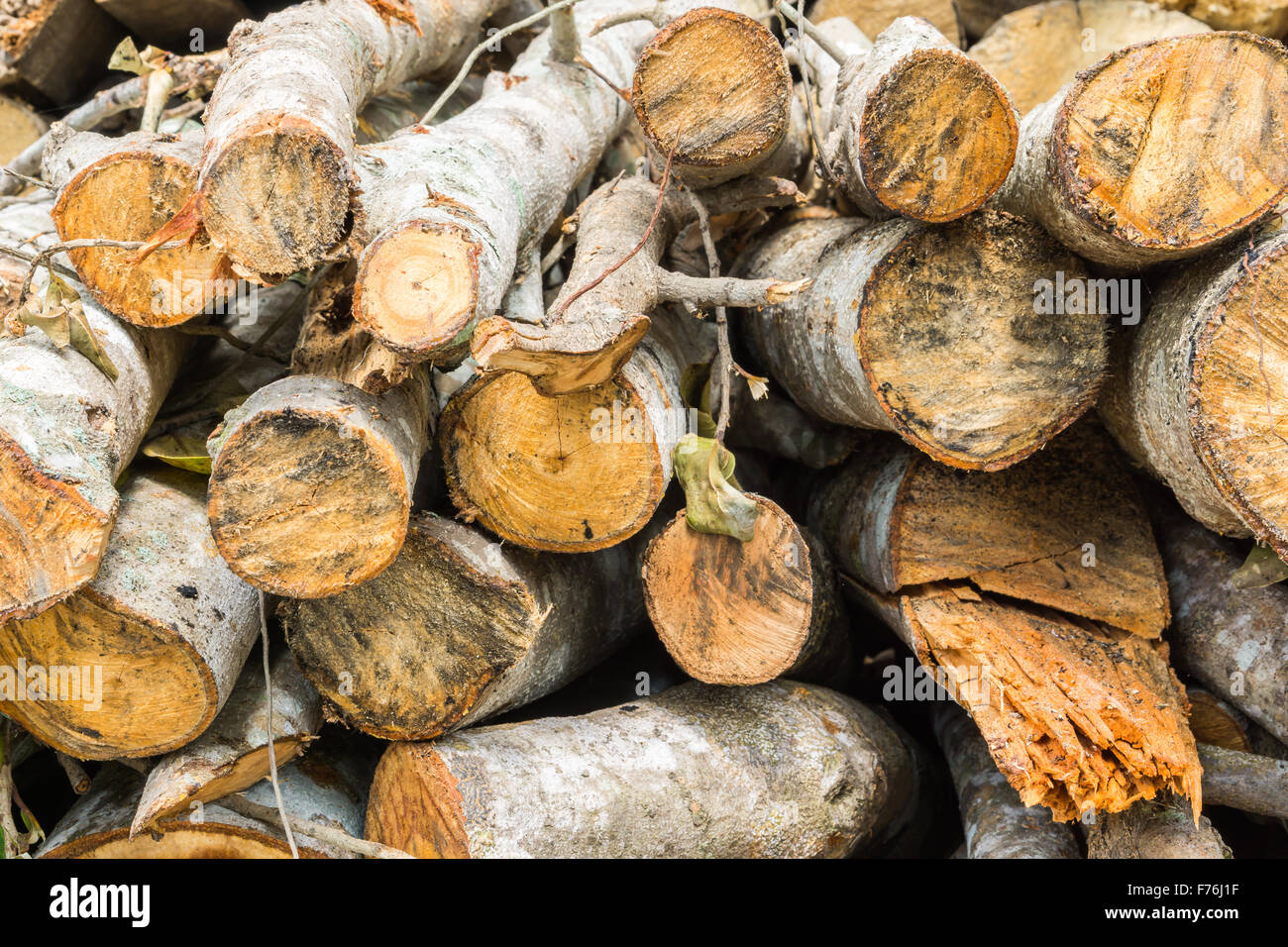 Renewable resource hi-res stock photography and images - Alamy