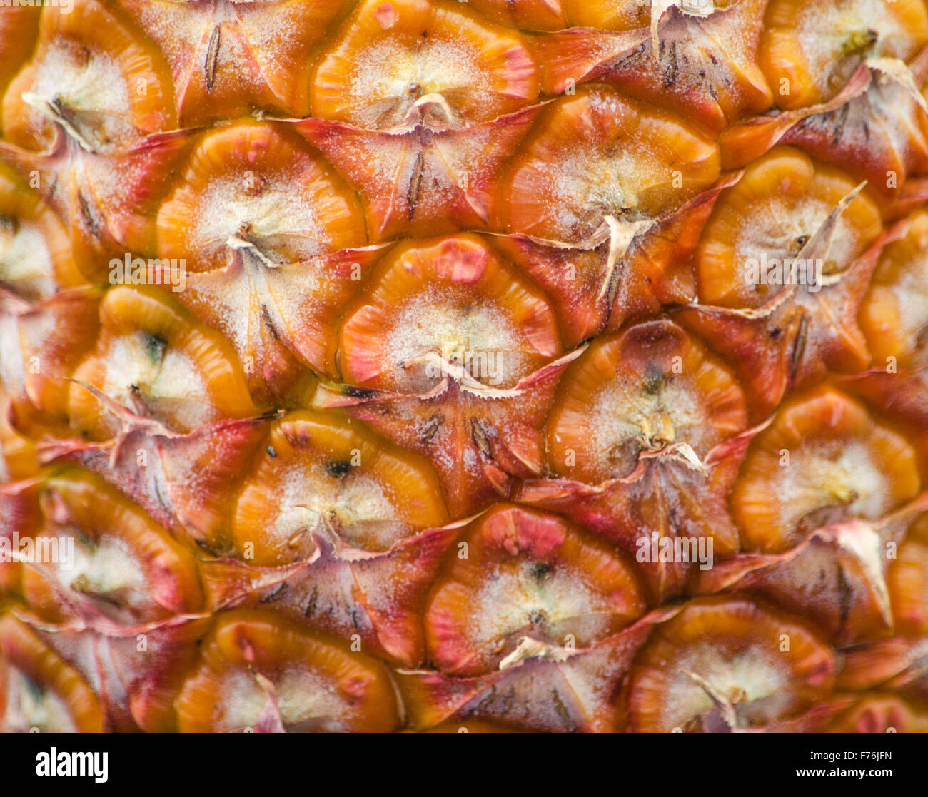 texture vegetable pineapple ripe peel Stock Photo - Alamy