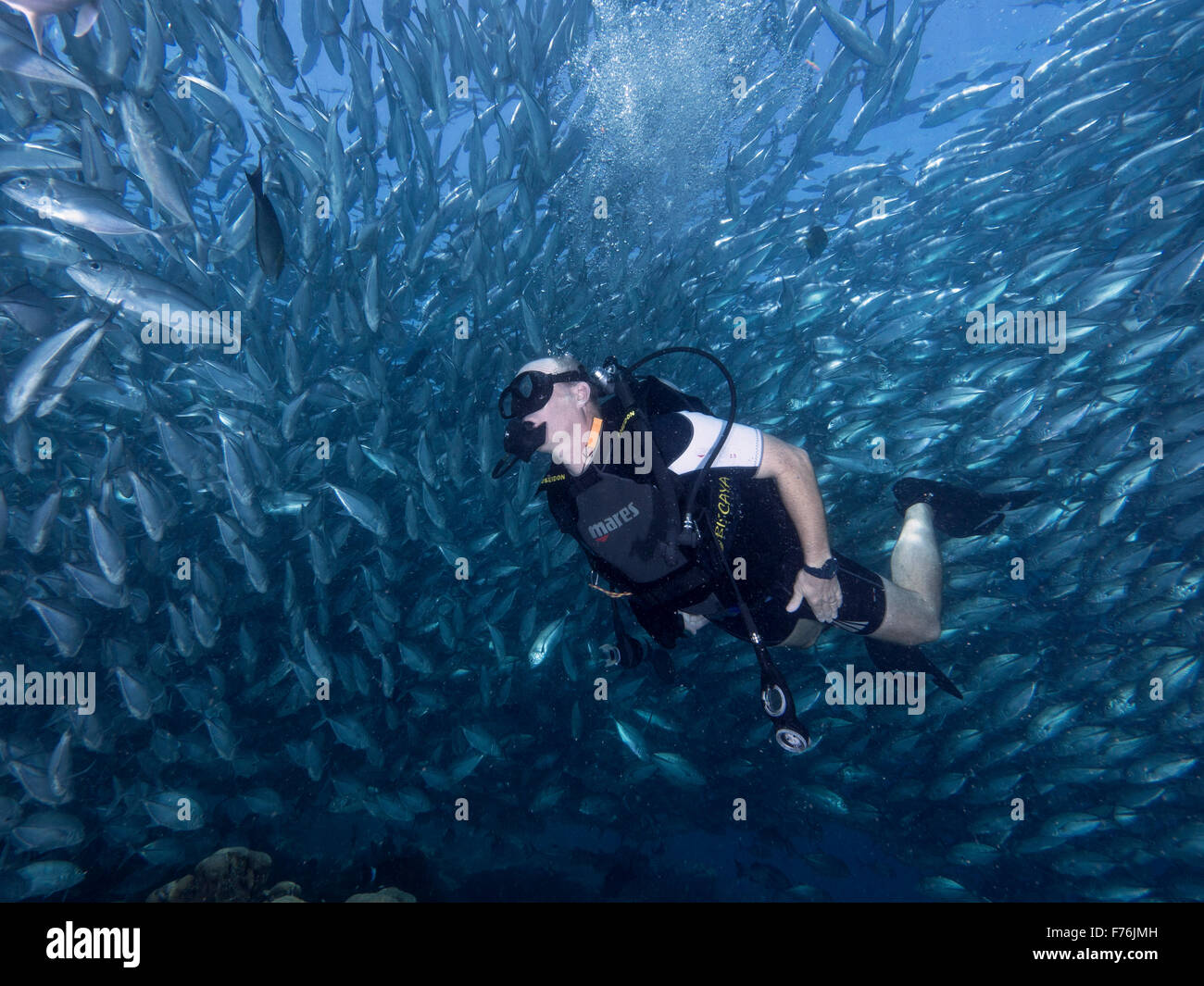 Scuba diver swimming amongst fish hi-res stock photography and images ...