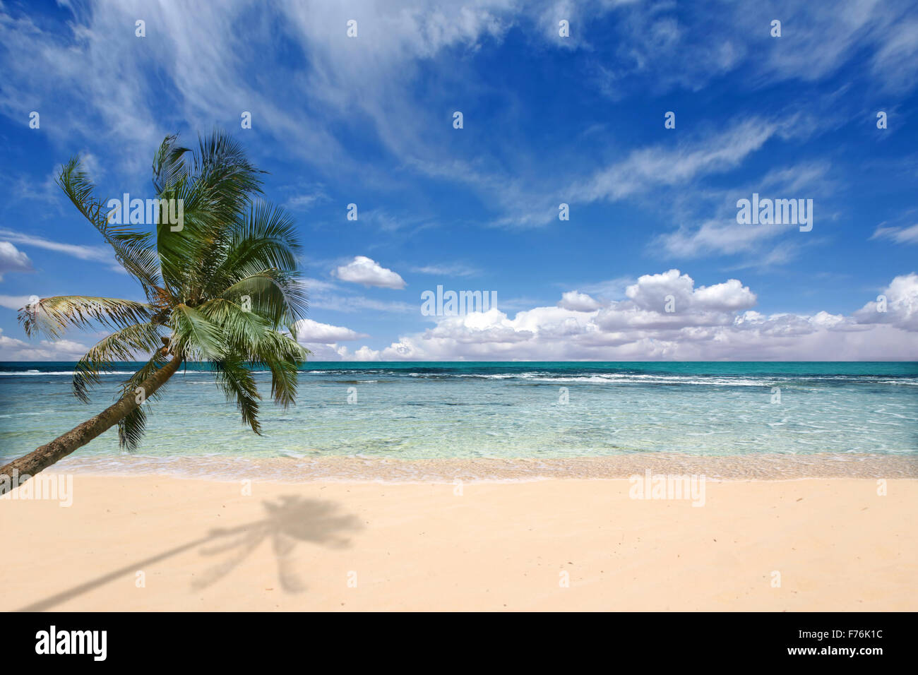 Palm Tree Over the Ocean Waves Stock Photo - Alamy