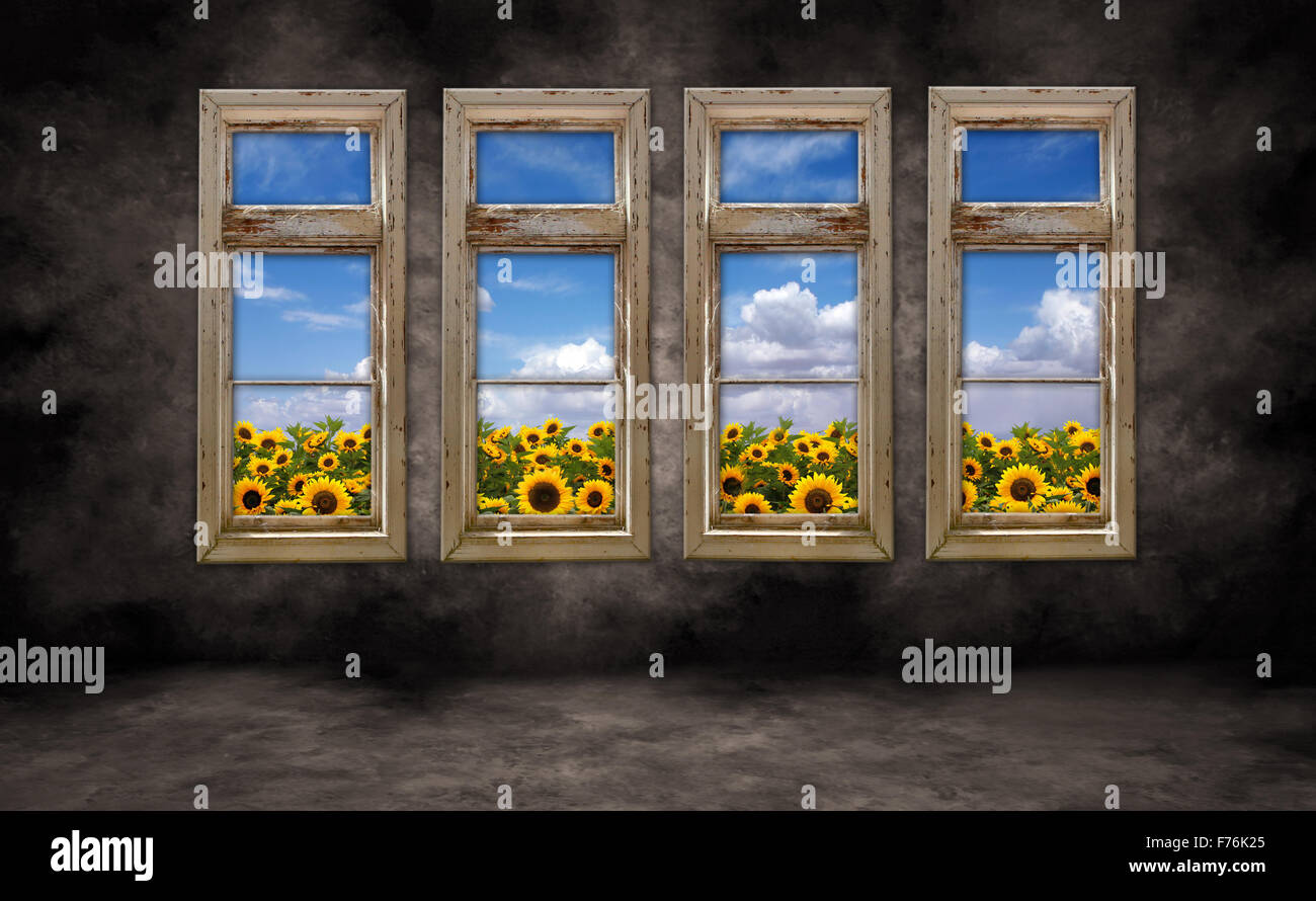 Distressed windows hi-res stock photography and images - Alamy