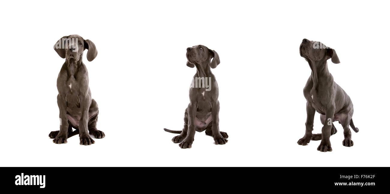 Three in a row Stock Photo - Alamy