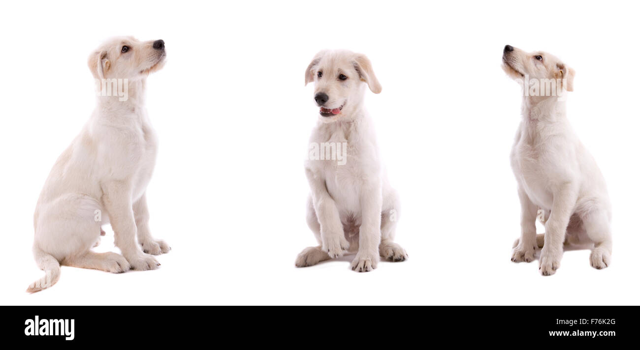 Three in a row Stock Photo - Alamy