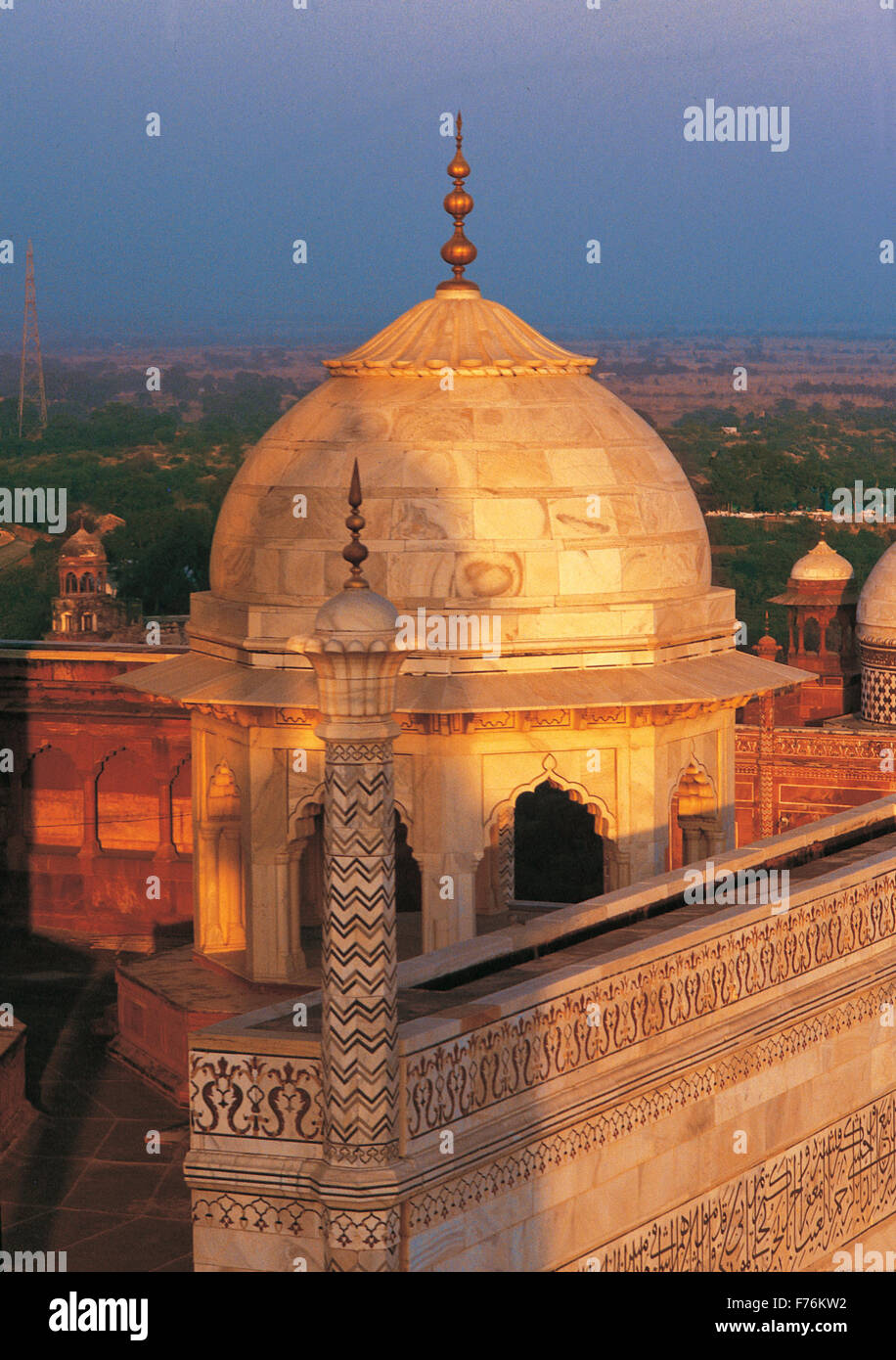 Chhatris of taj mahal dome, agra, delhi, india, asia Stock Photo - Alamy