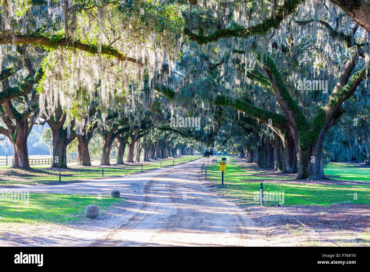 Boone Hall Plantation, Charleston, South Carolina Stock Photo - Alamy