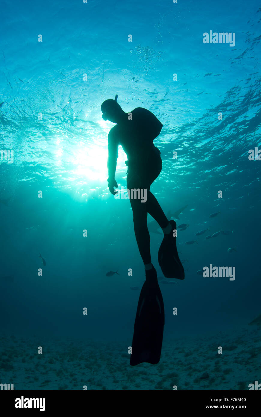 One Last Look Stock Photo - Alamy