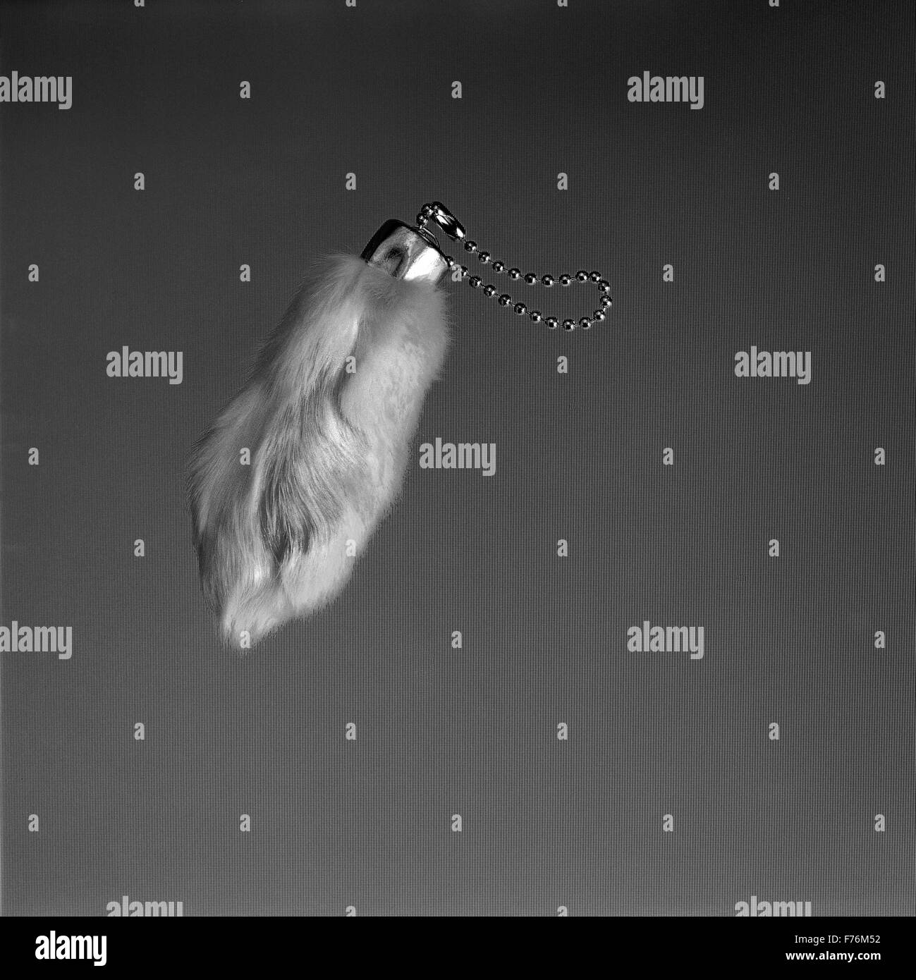 Rabbit’s foot keychain hi-res stock photography and images - Alamy