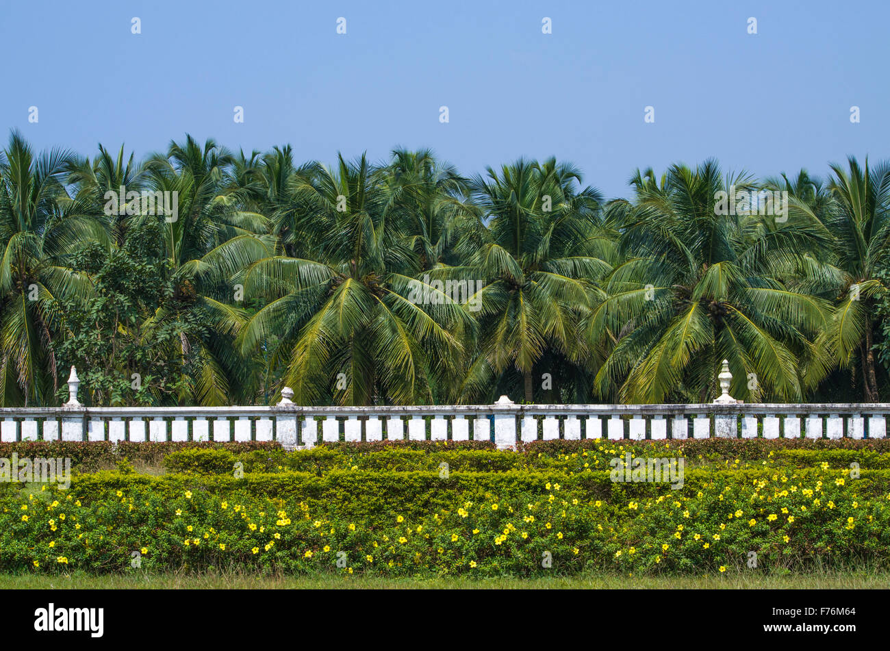 Grove nature hi-res stock photography and images - Alamy