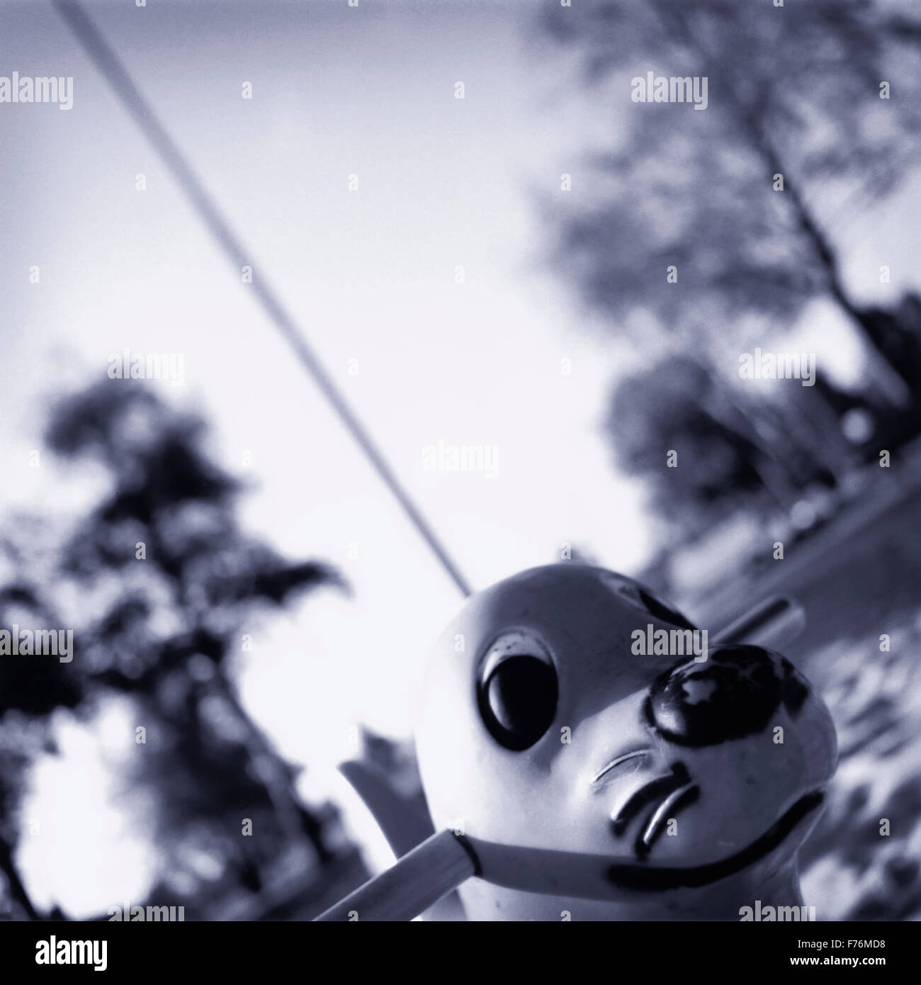 Seal ride hi-res stock photography and images - Alamy