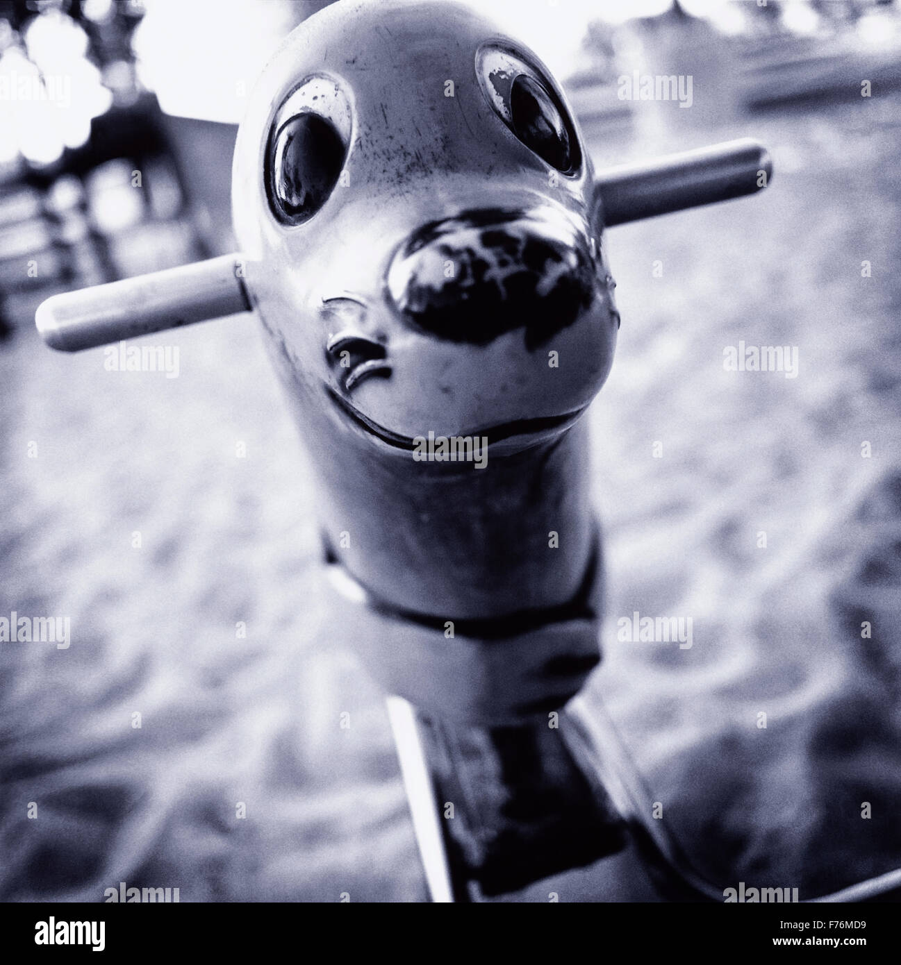 Seal ride hi-res stock photography and images - Alamy