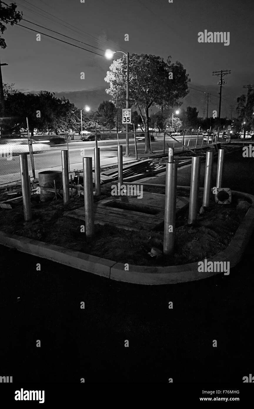 Night tree in BW Stock Photo - Alamy