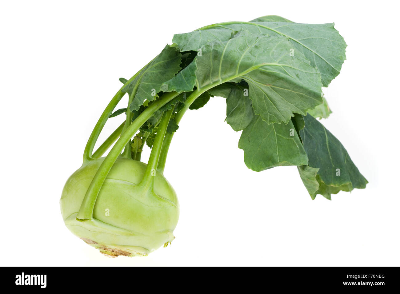 single cabbage turnip isolated on white background Stock Photo - Alamy