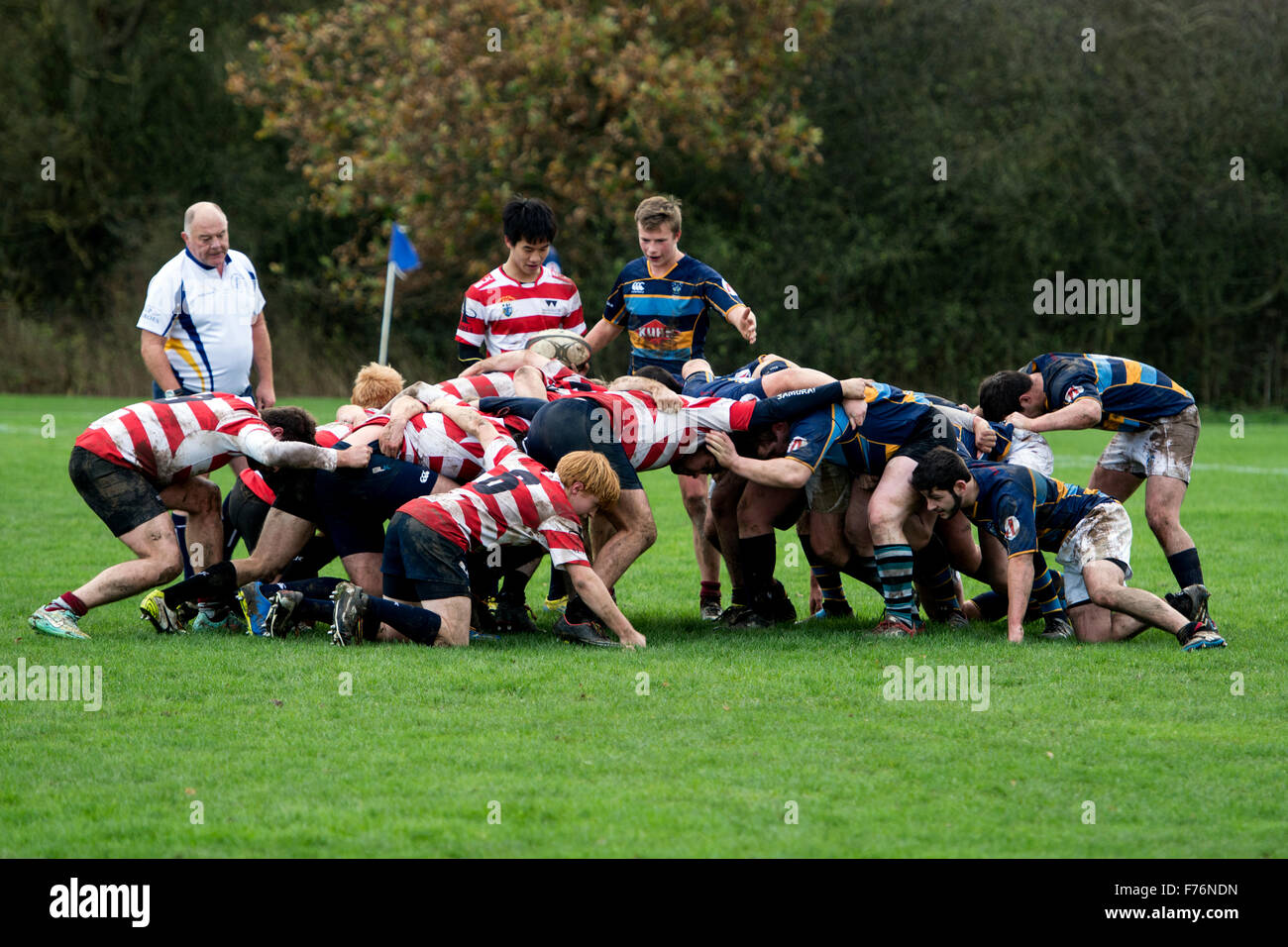 Rugby scrum hi-res stock photography and images - Alamy