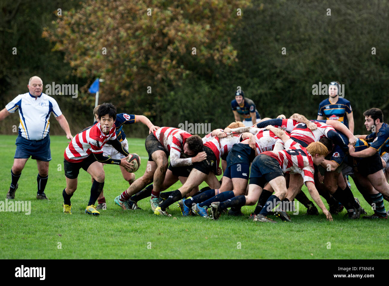 University sport, UK - men`s Rugby Union scrum Stock Photo - Alamy