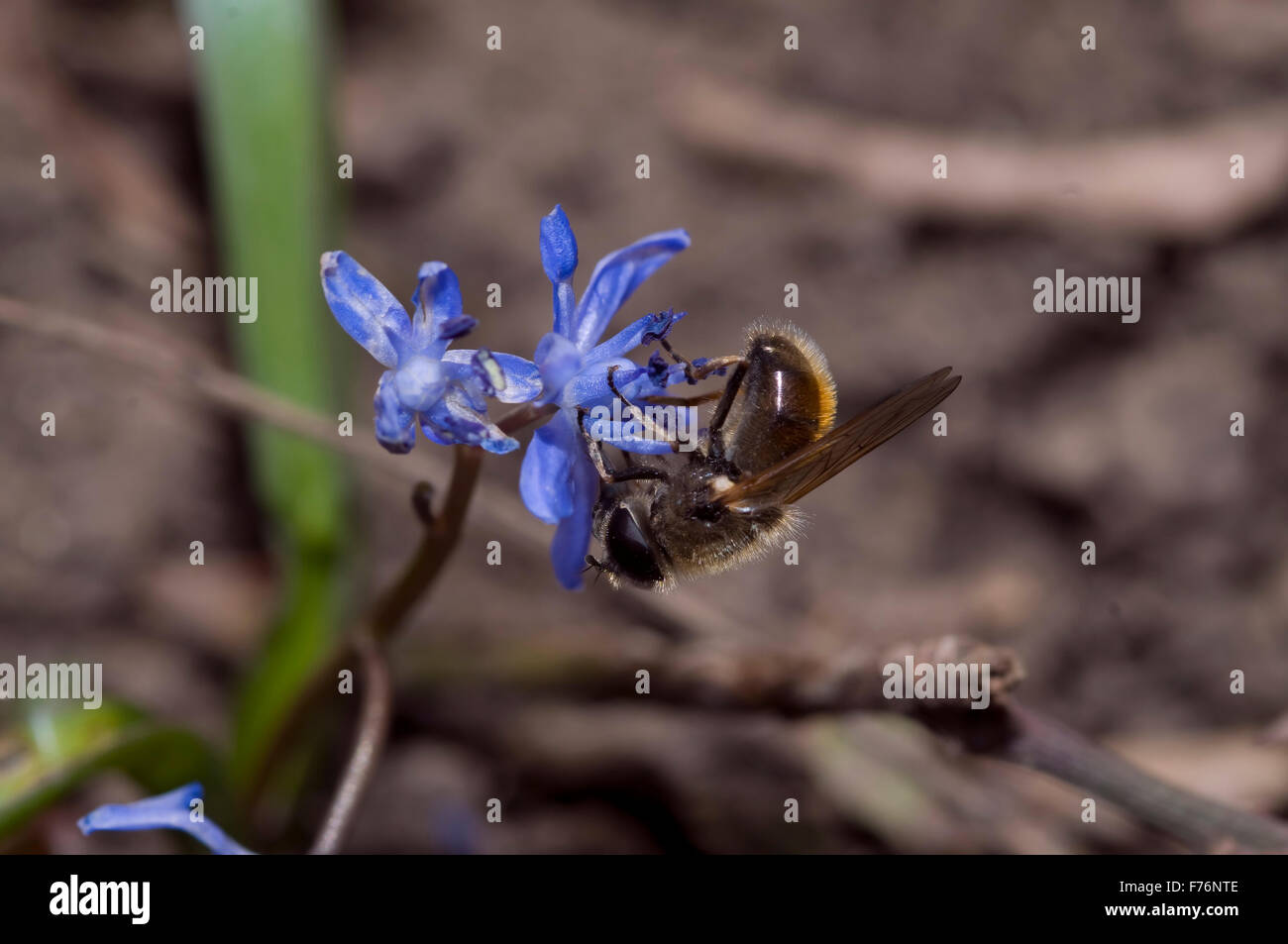 upside down work Stock Photo - Alamy