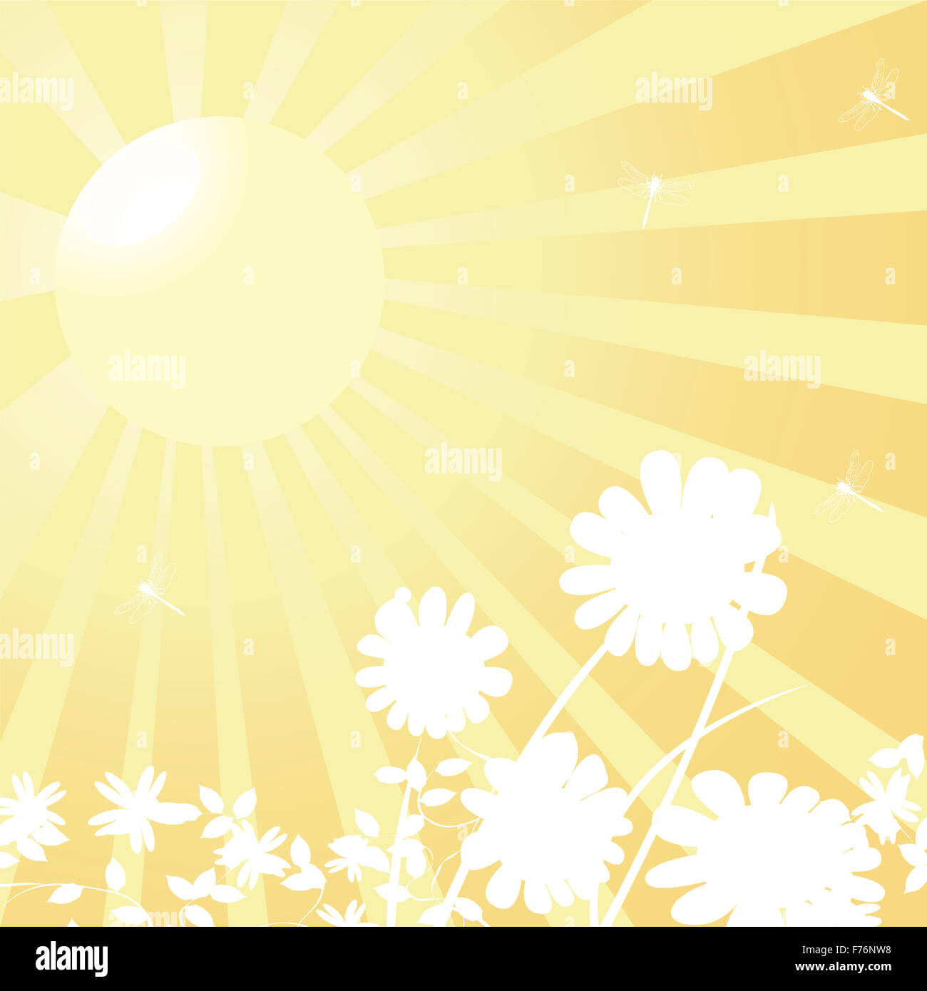 Sun and flowers Stock Photo - Alamy