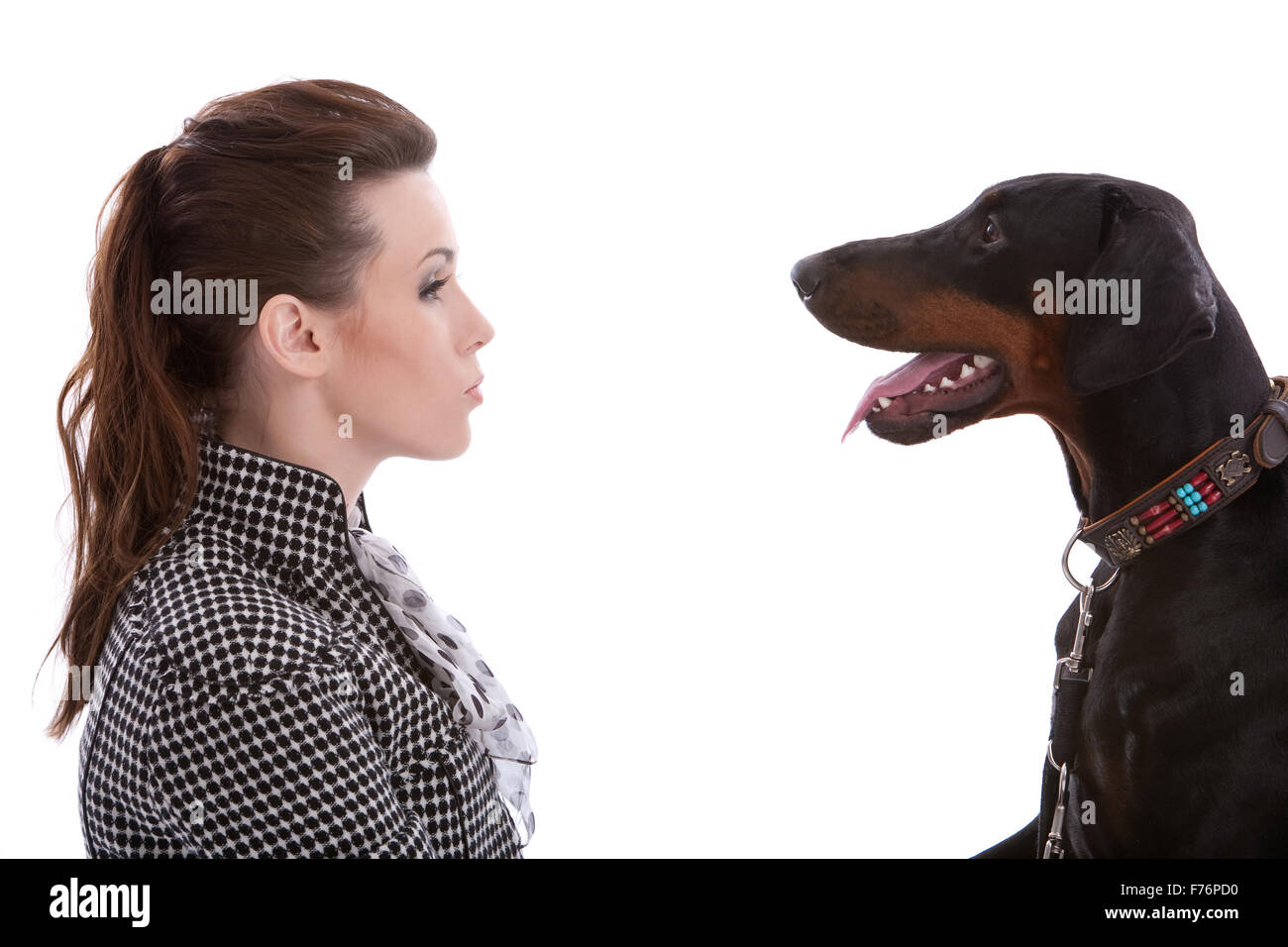 Dog Beauty Contest High Resolution Stock Photography and Images - Alamy