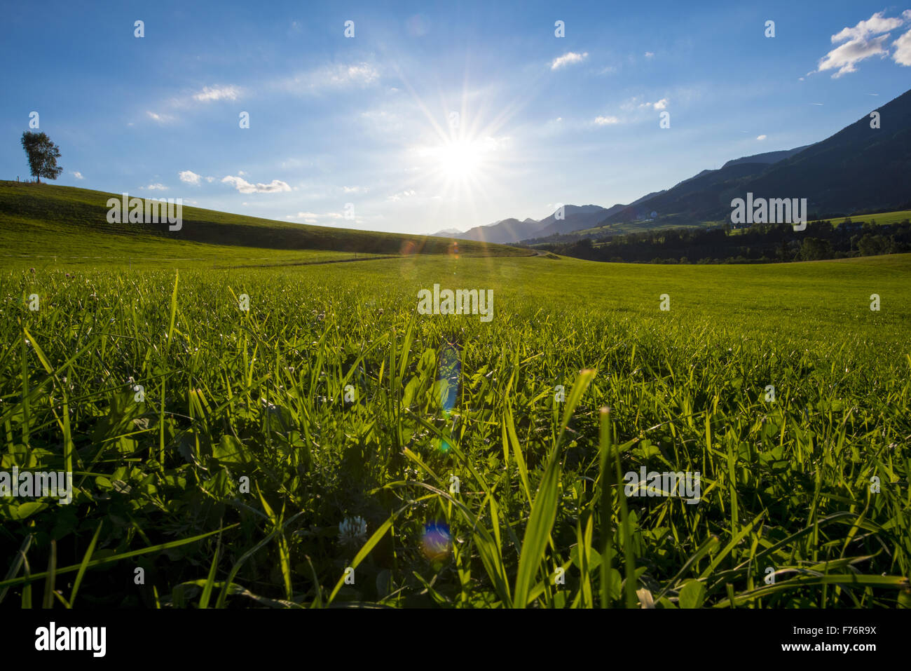 Styria, Austria, Thal Stock Photo - Alamy