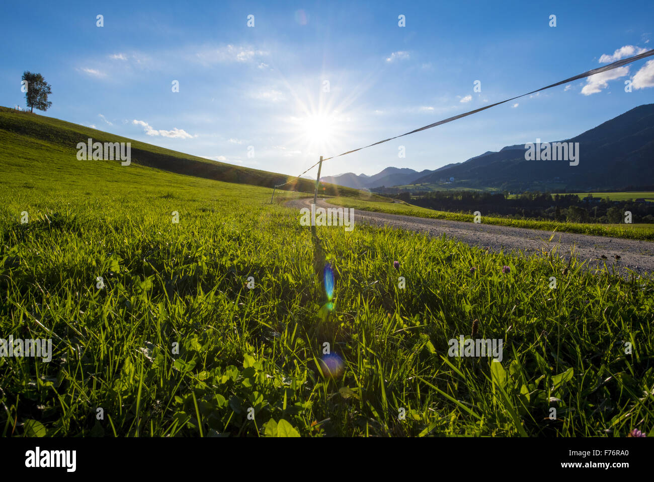 Thal Natural Park High Resolution Stock Photography and Images - Alamy