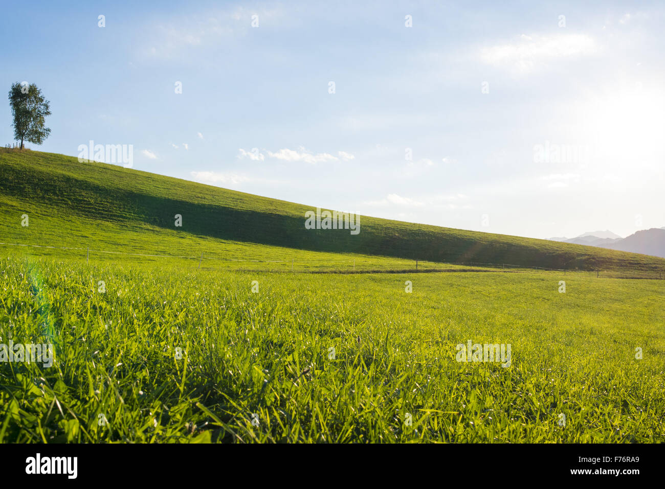 Thal Natural Park High Resolution Stock Photography and Images - Alamy
