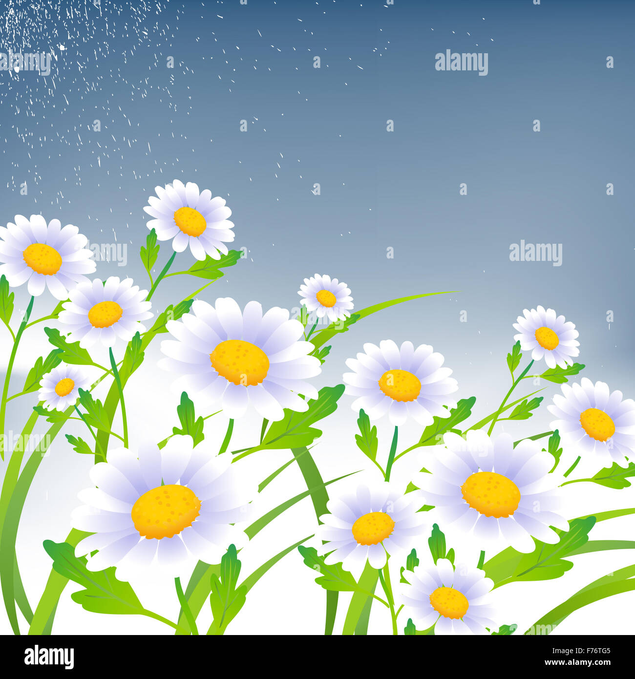 Curled flower stem hi-res stock photography and images - Alamy