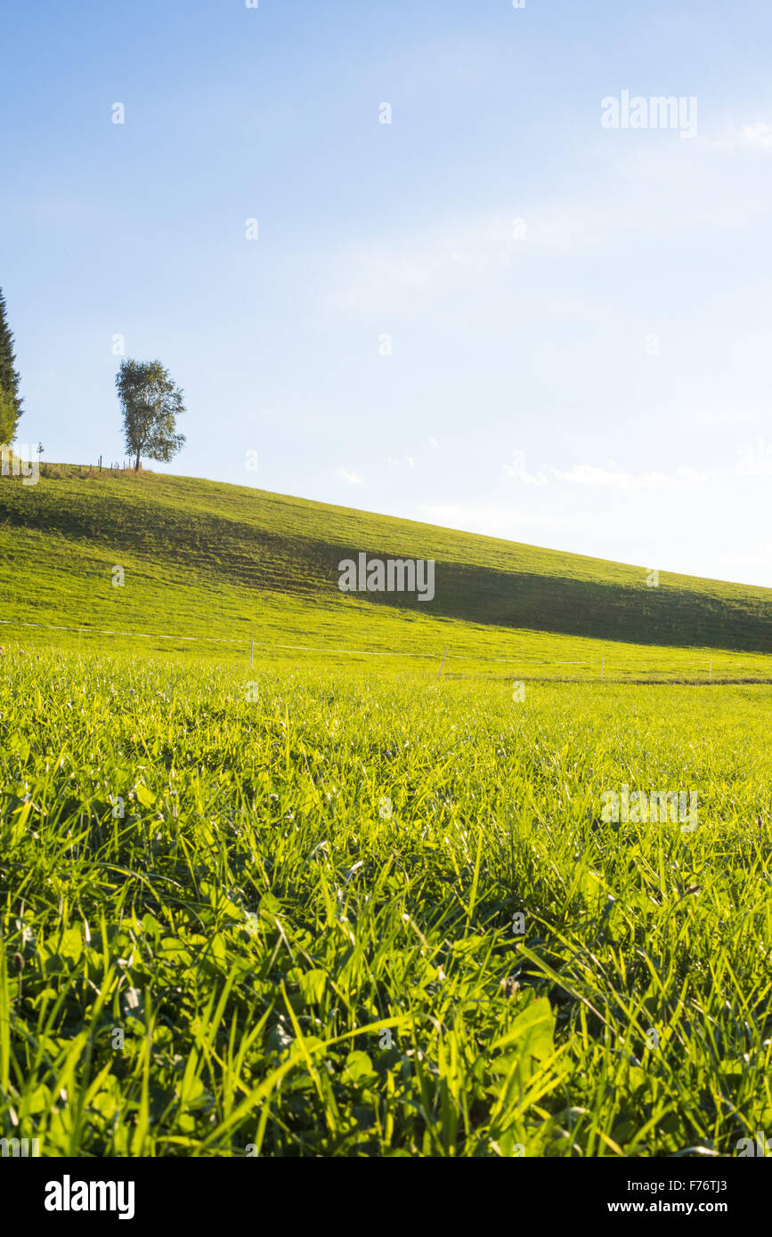 Styria austria thal hi-res stock photography and images - Alamy