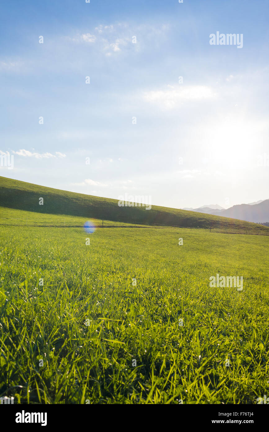 Thal hi-res stock photography and images - Alamy